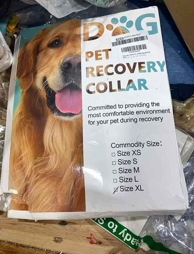 A pet recovery collar for your beloved dog, because Hylton's Crazy Bargain Bins takes care of every member of the family.