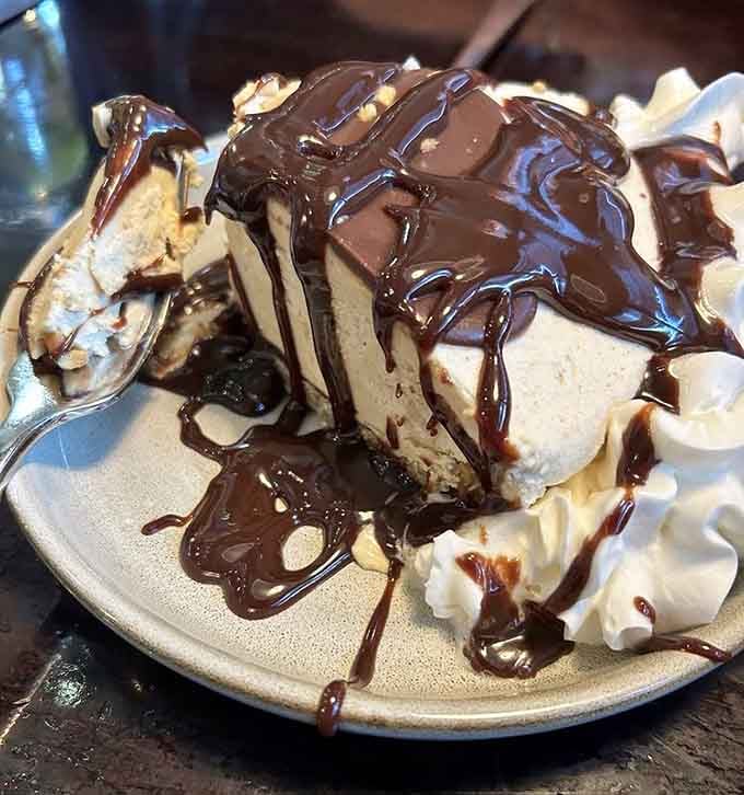 Chocolate sauce cascading over peanut butter pie like a delicious avalanche nobody wants to stop. Dessert goals, officially achieved.