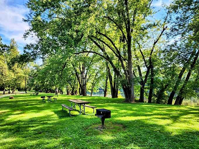 Picnic tables under a canopy of trees, with the river glinting just beyond. Lunch has never looked this good.