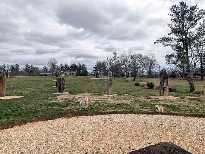 Even the dogs know this place is worth exploring. Four paws, two happy faces, zero complaints about the detour.