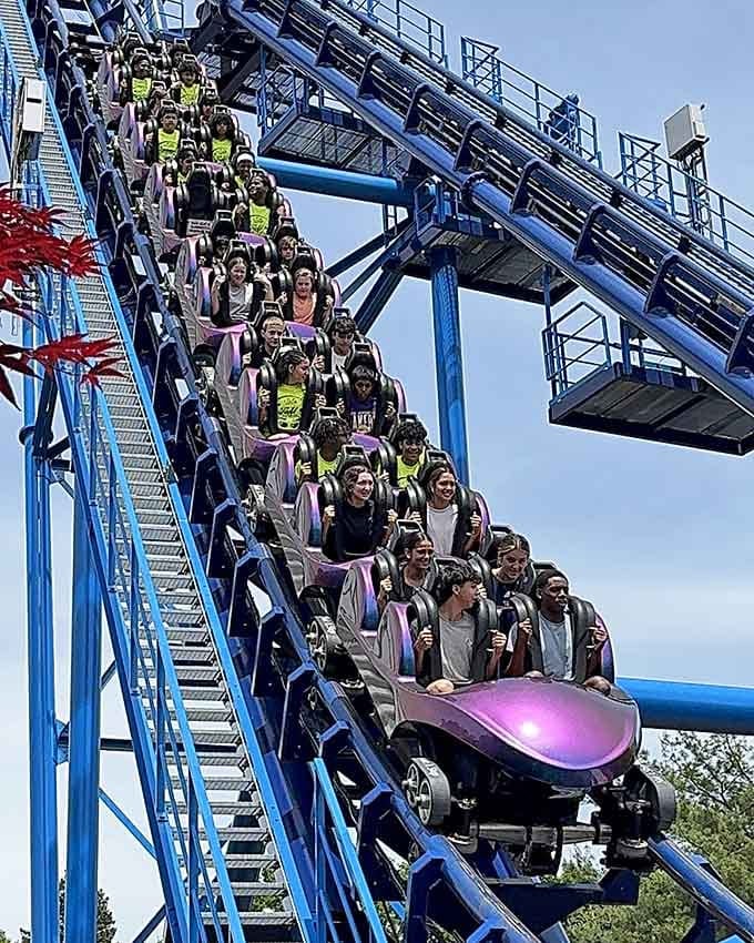 Every single face on that coaster tells the same story. Pure, unfiltered, can't-fake-it joy.