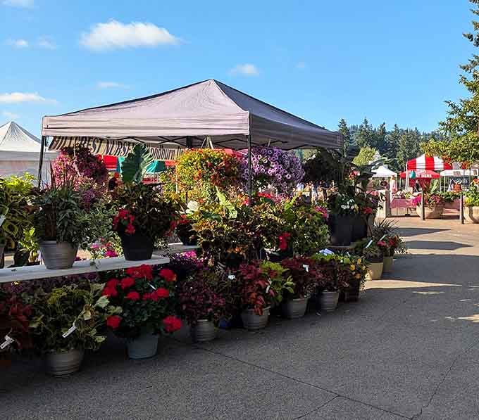 Flower stalls at the Lake Oswego Farmers Market so colorful they make your eyes genuinely happy on a Saturday morning.