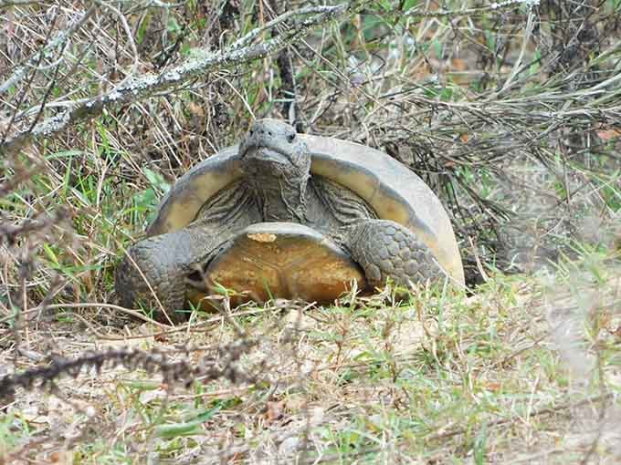 Even the local wildlife knows this park is worth a slow stroll through paradise.