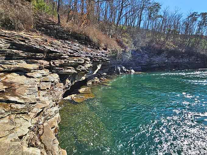 The river hugs those ancient rock walls like it's been doing it for millions of years. Because it has.