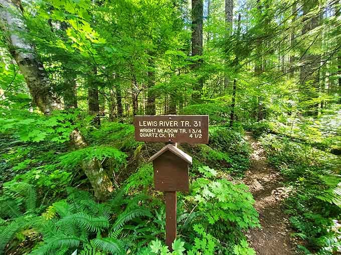 Trail signs point the way to multiple waterfalls because apparently one spectacular cascade just isn't enough here.