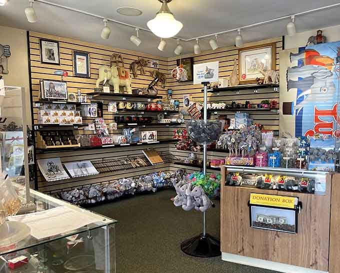 The gift shop overflows with elephant-themed treasures, because you absolutely need a Lucy magnet for your refrigerator back home.