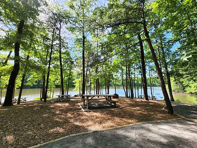 Picnic tables by the lake, where even a peanut butter sandwich tastes like a five-star meal.