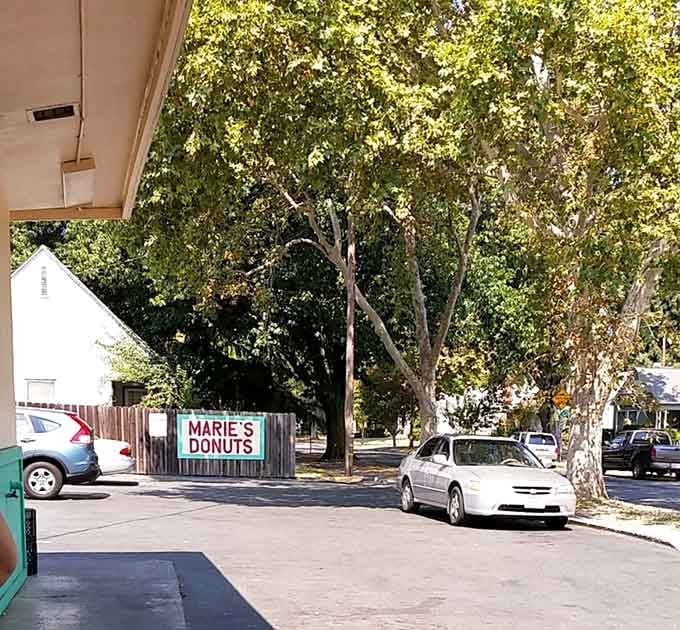Easy parking and tree-lined streets make this donut run feel like a pleasant neighborhood stroll with delicious rewards.