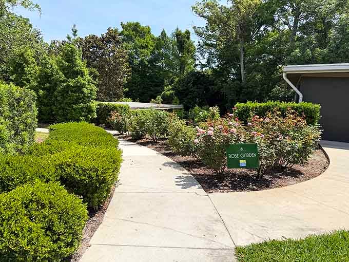 Roses in full bloom, neatly trimmed hedges, and a sign that says it all. Classic Florida charm.