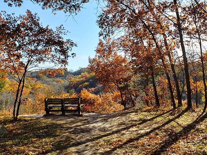 Fall foliage creates the perfect backdrop for contemplating life's mysteries, like why you don't visit more often.