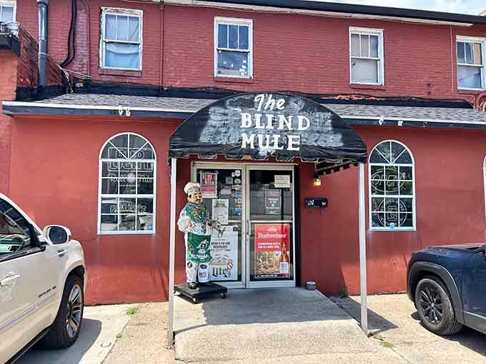 The Blind Mule's no-frills exterior is basically the universe telling you something genuinely good is happening inside.