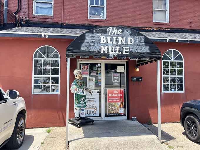 The Blind Mule's quirky charm invites you in for drinks and good times in a neighborhood spot with character.