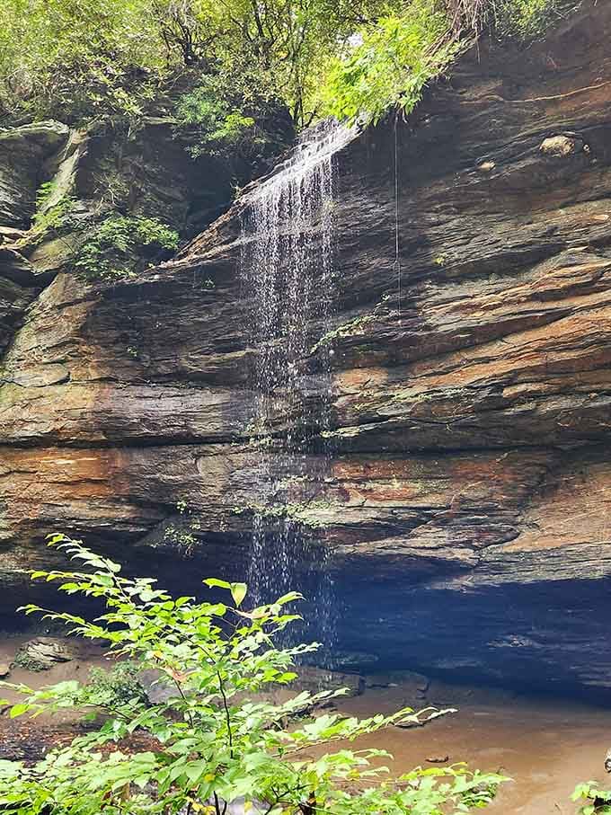 Moore Cove Falls from a different angle, proving this waterfall has more good sides than a supermodel.