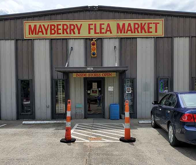The Mayberry Flea Market, where treasure hunting is a legitimate Saturday morning activity and nobody judges your finds.