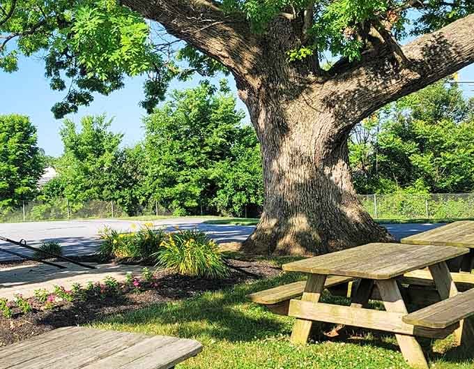 Picnic tables shaded by a grand old tree, the perfect spot to sit, eat slowly, and forget your schedule.