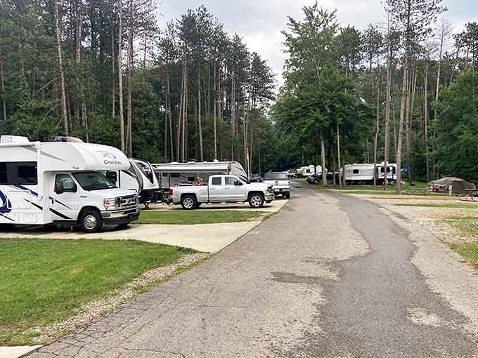 RVs lined up under tall pines. These folks figured out the secret to a perfect weekend early.