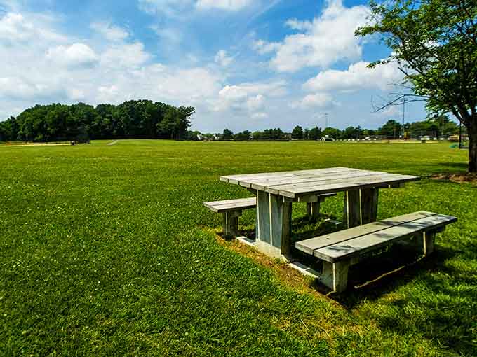 A lone picnic table sits in a wide open field, quietly suggesting that sometimes the best lunch spot requires zero reservations.