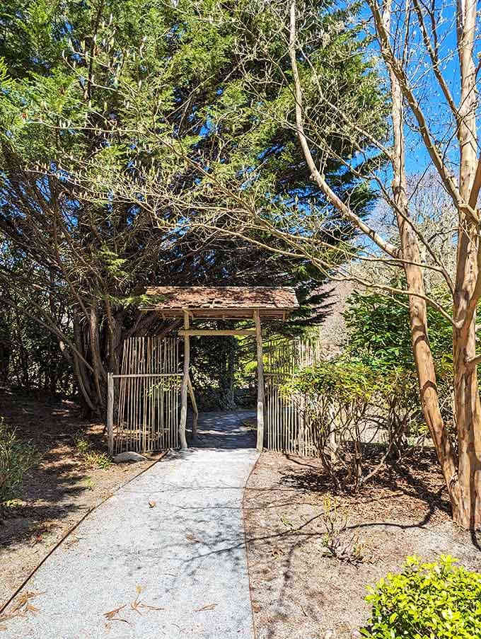 Walking through this bamboo gate feels like crossing a threshold into somewhere quieter, greener, and altogether more peaceful.