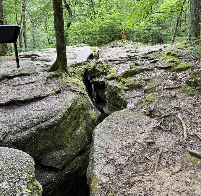 A crack splitting solid bedrock wide open, nature's reminder that patience and persistence can move mountains, literally.