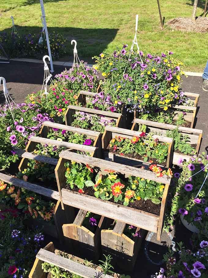 Potted plants and hanging baskets ready to transform your porch into something your neighbors will actually compliment this year.