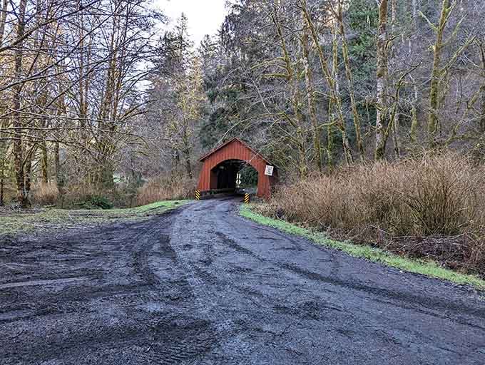 Even on overcast days, this bridge radiates warmth against the cool forest backdrop surrounding it.