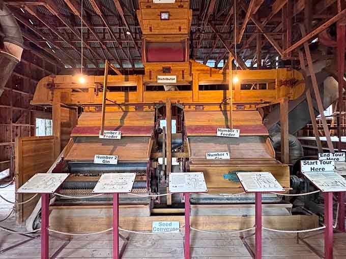 The cotton gin machinery is massive, complex, and quietly tells one of Alabama's most important economic stories.