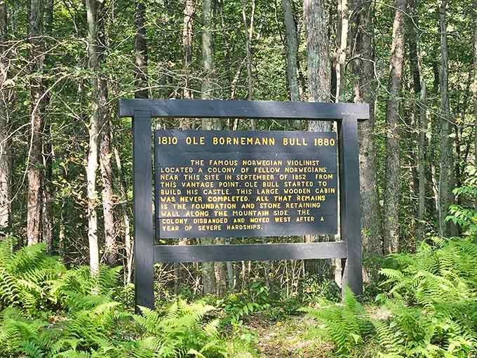 A Norwegian violin virtuoso dreamed big in these Pennsylvania hills, and the forest has been telling that story ever since.
