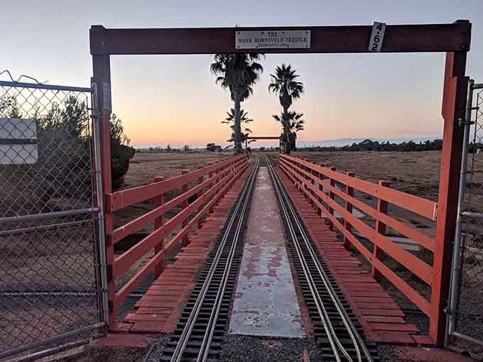 Sunset rides over the park create Instagram moments you didn't know you needed in your life.