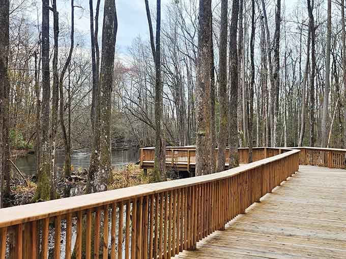 Lake Edisto Park's boardwalk winds through bare winter trees beside dark water, peaceful in a way that genuinely resets you.