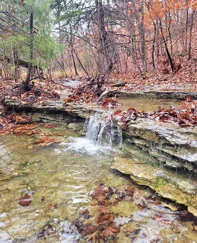A small waterfall tumbles over limestone ledges surrounded by autumn leaves. Small in size, enormous in personality.