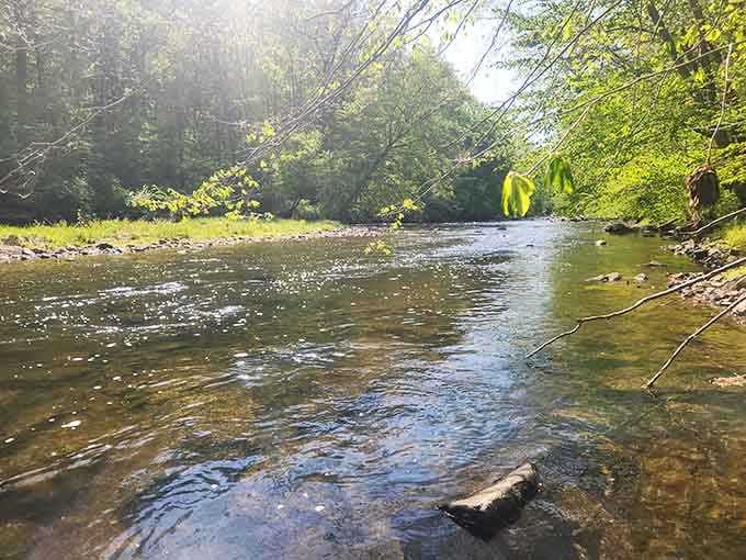 Morning light on moving water creates a scene so peaceful, even your stress has stress relief.