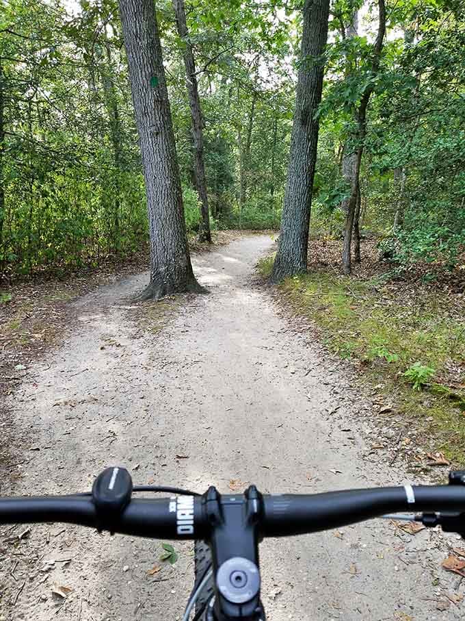 Two wheels, one sandy trail, and miles of Pinelands forest ahead. Parvin's bike paths are a genuinely wonderful surprise.