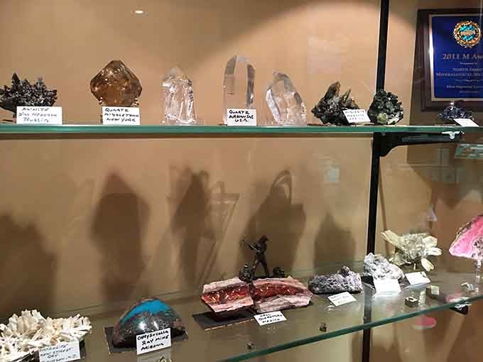 Quartz crystals, minerals from Arizona, and specimens from around the world prove New Jersey's museum shelves hold genuine global wonders.
