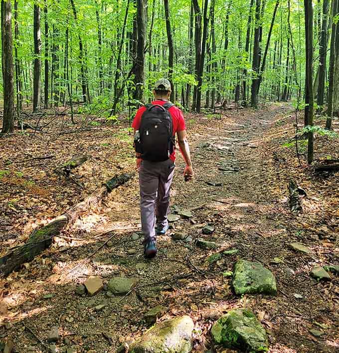 The trail in is easy, the forest is gorgeous, and what's waiting at the end is absolutely worth it.