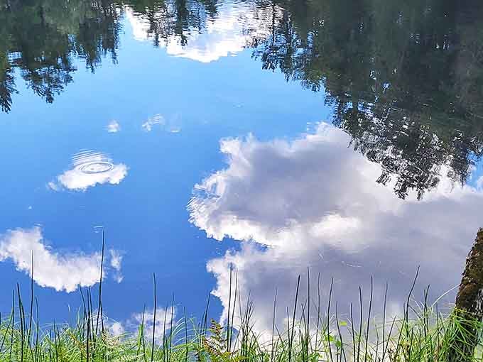 The calm pools along the river mirror the sky so perfectly, you'll briefly question which way is up.