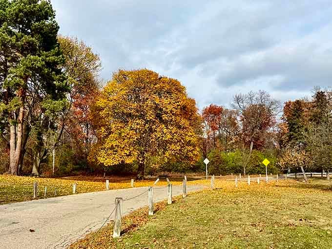 Beaudette Park in autumn is the kind of scene that makes you pull over, get out, and just breathe for a minute.