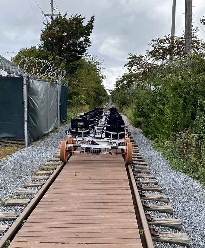 Rail bikes lined up on fresh wooden planking, patient and ready, like a very cool queue you actually want to join.