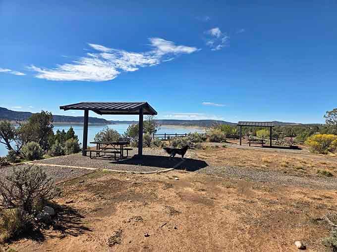 Shaded picnic tables overlooking the reservoir, where even a simple sandwich tastes like the best meal of your life.