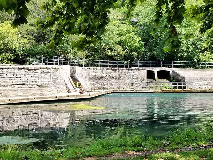 Stone steps, still water, and a spring pool that reflects the trees like a painting that never quite dries.