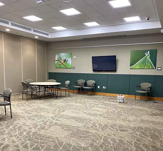 A meeting room decorated with wildlife photography. Even the walls here are trying to teach you something wonderful.