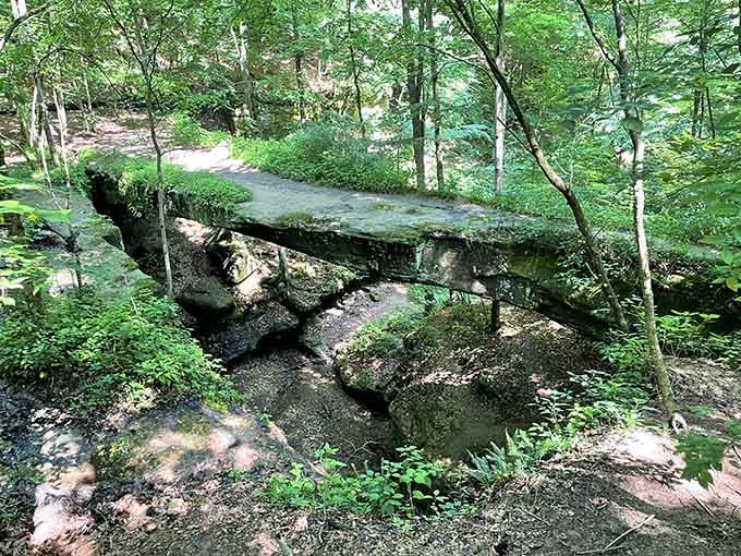The natural rock bridge sits moss-covered and unbothered, spanning the hollow like it's been waiting centuries for someone to finally notice it.