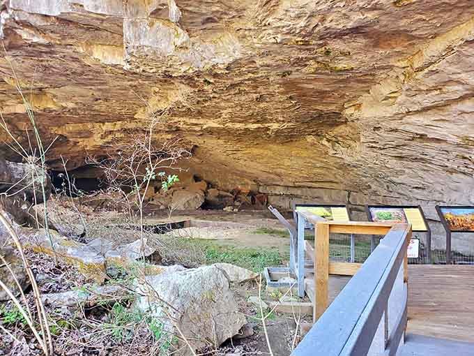 The boardwalk leads right into the cave shelter, where interpretive signs line the path like chapters of an extraordinary book.