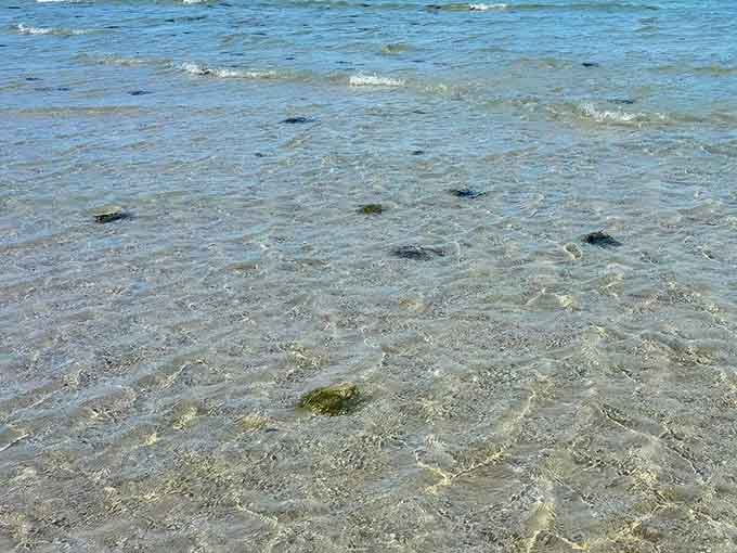The water here is so clear you can see straight to the bottom. It's the kind of clean that makes you want to just stand there and stare.