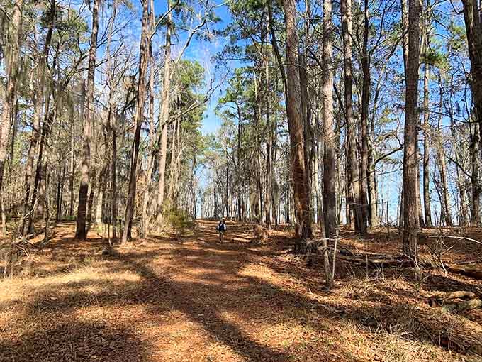 These trails wind through the park, perfect for working off all that relaxation you've been doing at the cabin.