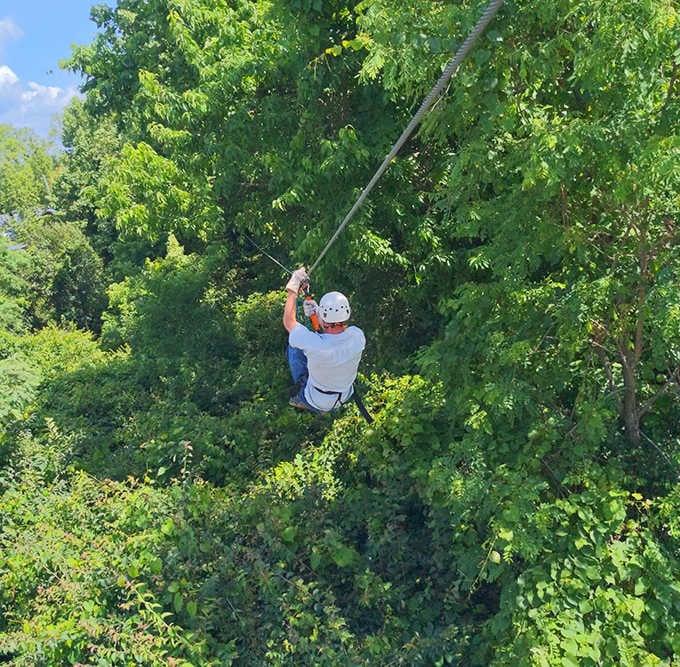 Threading through a canopy of green, this is what it feels like to be genuinely, completely alive.