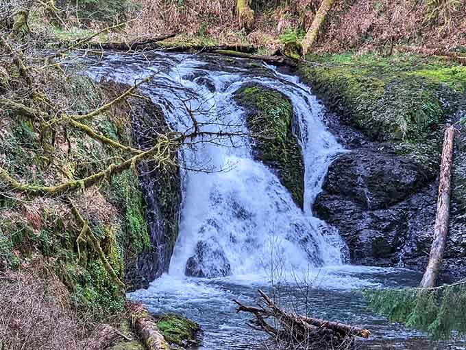 Twin Falls tumbling over mossy rocks, wild and unhurried, like nature forgot to check its calendar and just kept going.