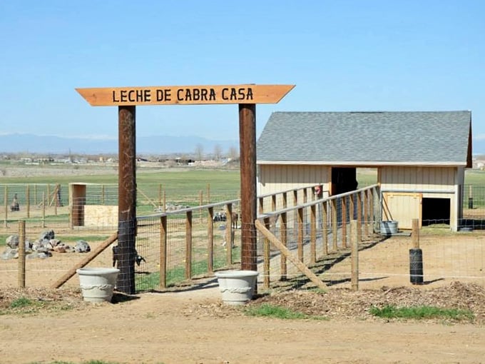 "Leche De Cabra Casa" overhead, mountains in the distance. This entrance means business, and the goats inside agree completely.