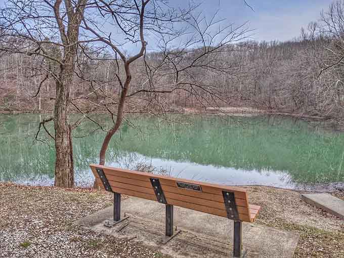 A lakeside bench sits empty and patient, quietly offering the best therapy session you'll ever get for free.