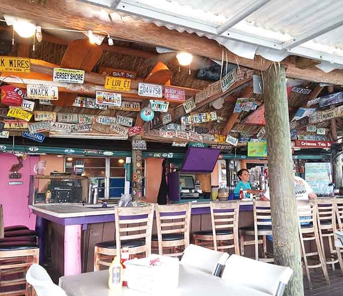The bar at Stan's is open-air, colorful, and covered in license plates. It's the kind of place where everybody eventually becomes a regular.