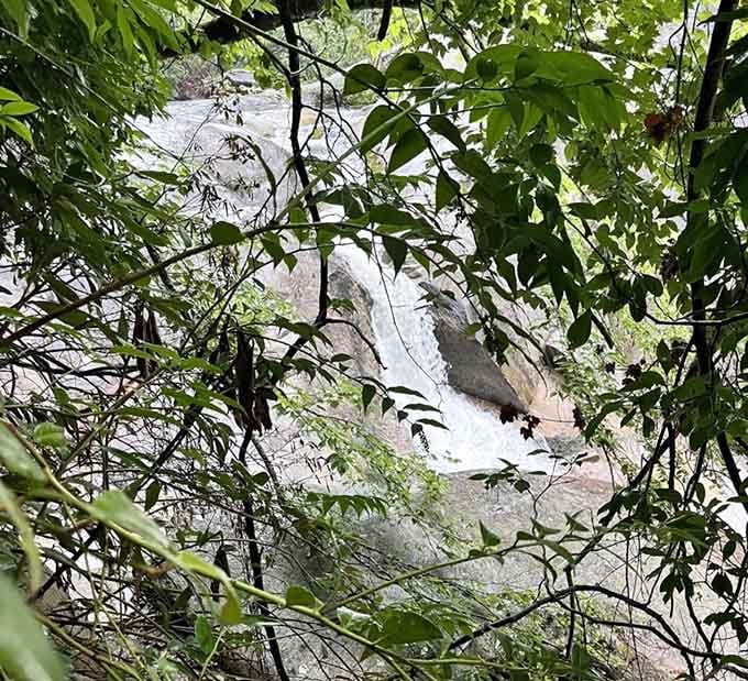 Glimpsed through the branches, the falls tease you just enough to keep your tired legs moving forward.